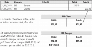 Traitement comptable: Écritures, grand-livre, balance, bilan et compte ...